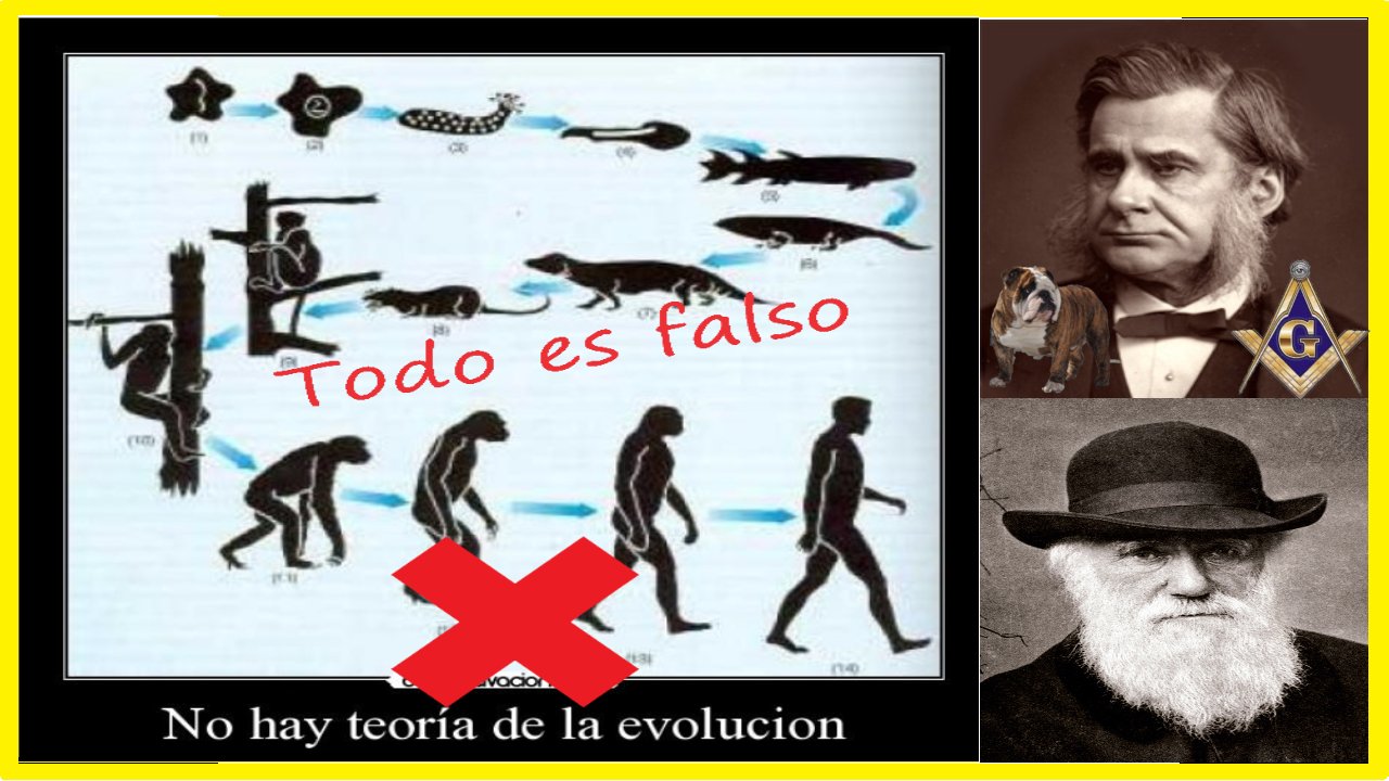 LA MENTIRA DE LA EVOLUCIÓN Y EL BULLDOG DE DARWIN – Hermanos Barea TV